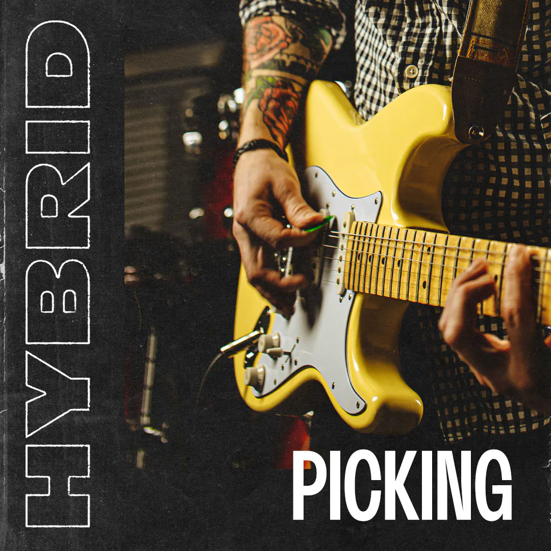 Lifetime Access to Hybrid Picking Course